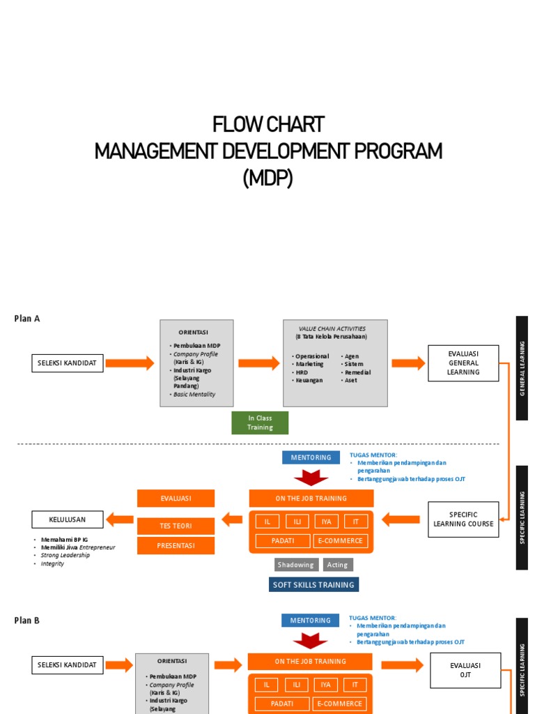 MDP FLOW PROCESS - Rev01 | PDF