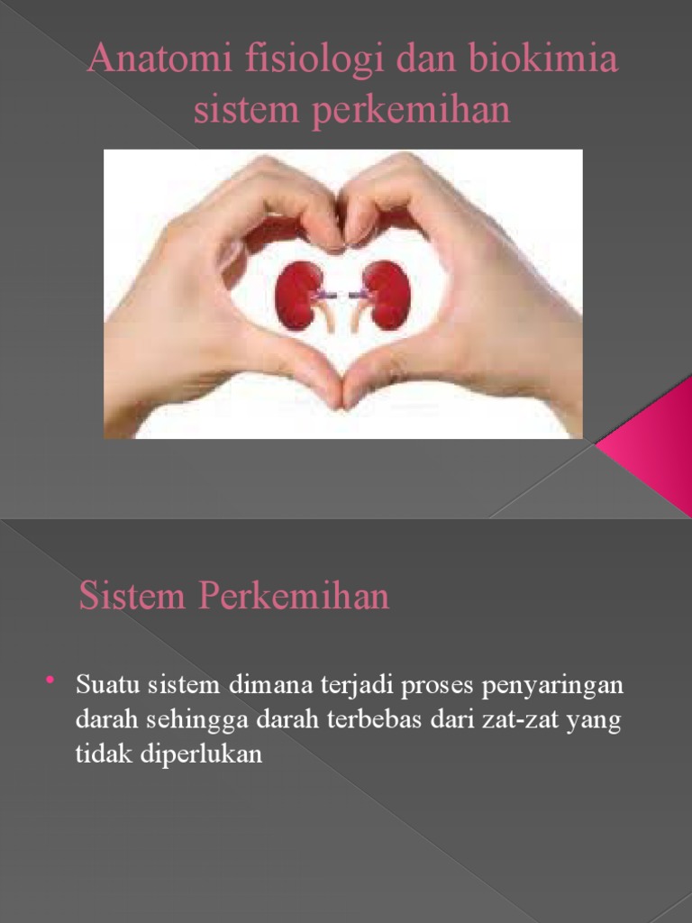 Anatomi Fisiologi Dan Biokimia Sistem Perkemihan | PDF | Kesehatan Holistik