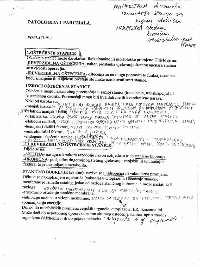 Nova Skripta Patologija | PDF