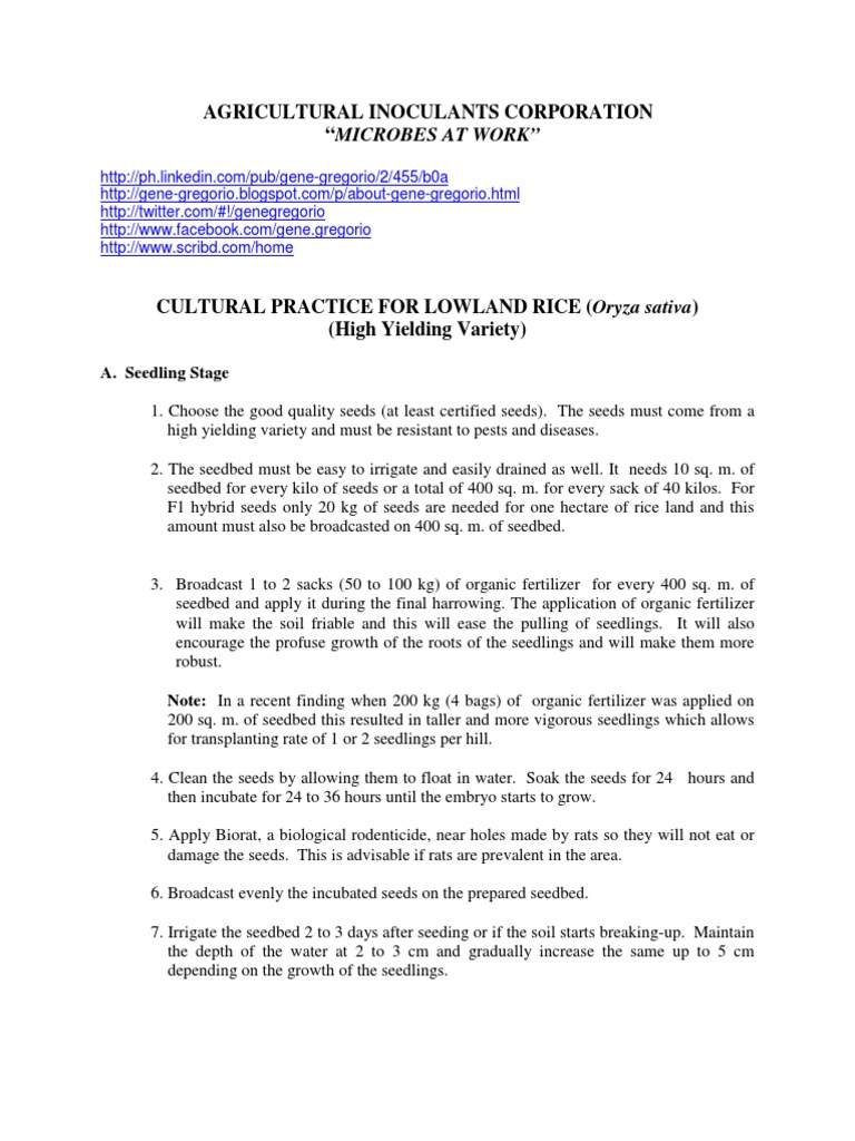 AIC Organic Fertilizer For Rice | PDF | Rice | Paddy Field