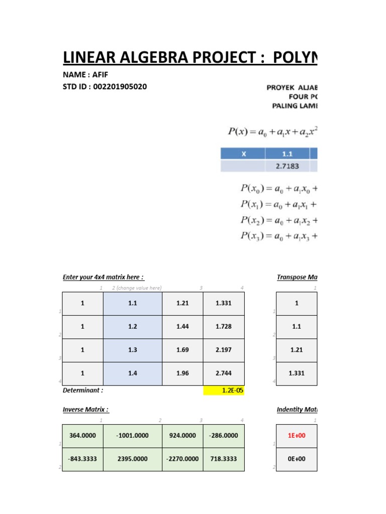 Linear Algebra Project Polynomial Fitting | PDF | Polynomial | Matrix ...