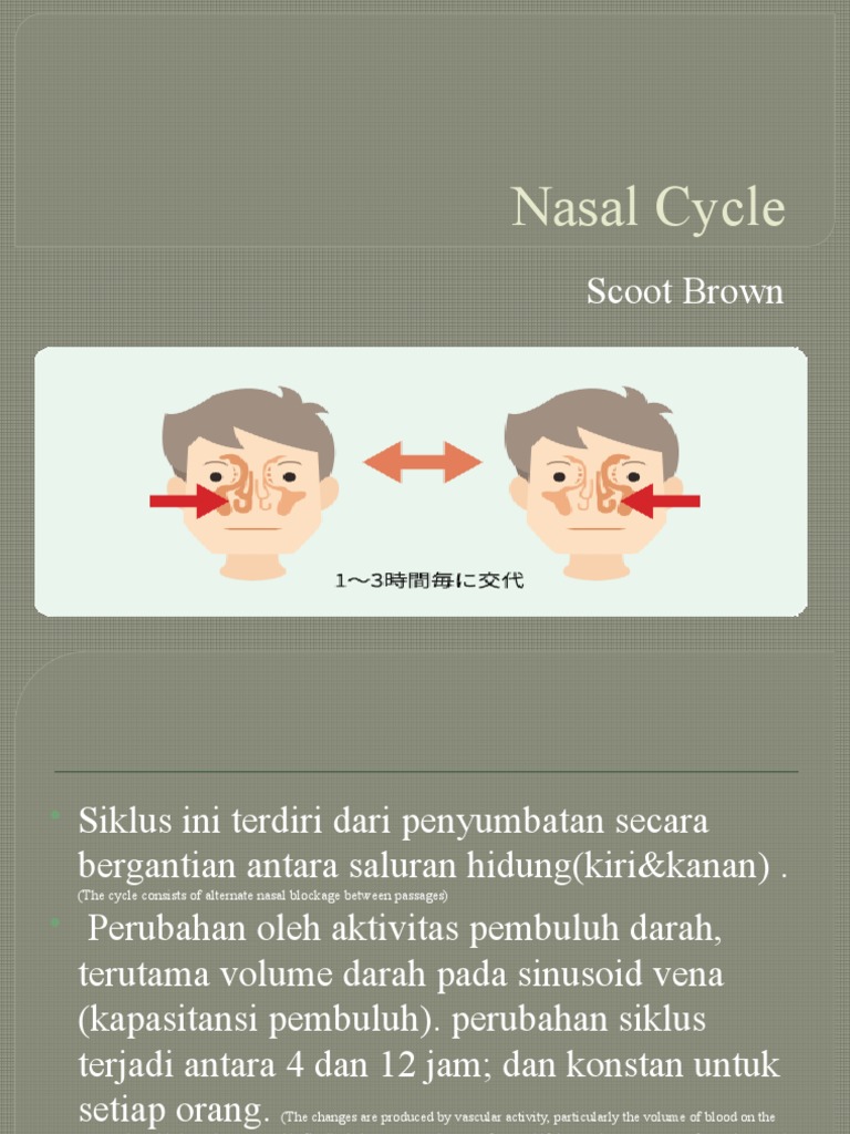 Nasal Cycle & Mucociliar Mechanism | PDF | Sains & Matematika