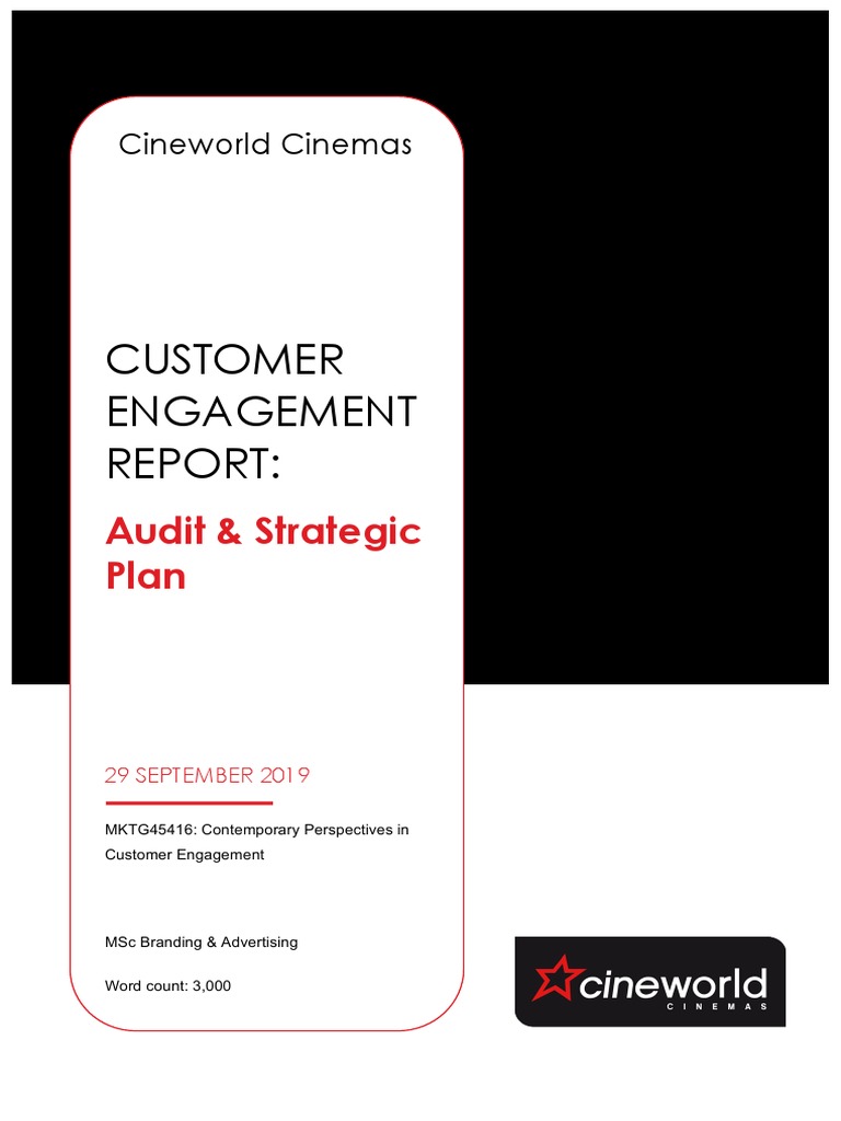 Customer Engagement Report:: Audit & Strategic Plan | PDF | Brand ...