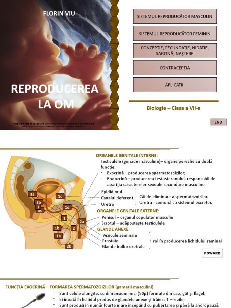 Reproducerea La Om | PDF