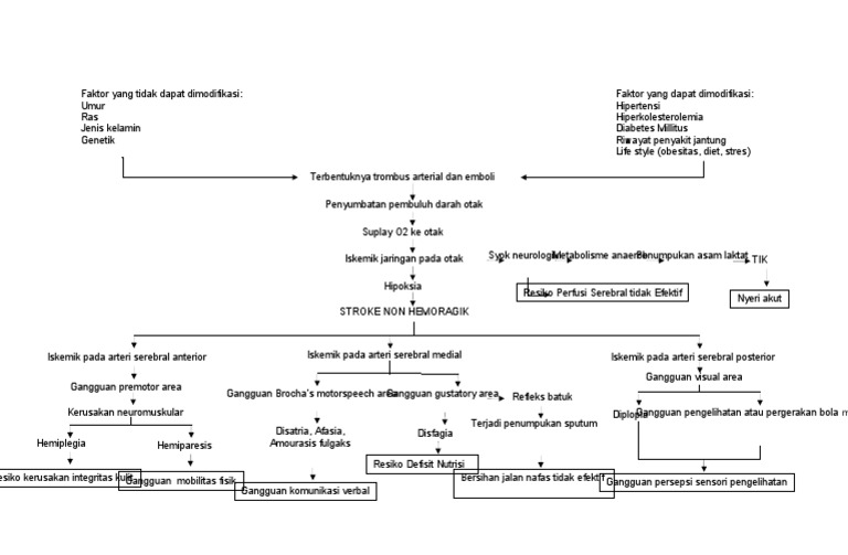 Pathway Stroke Non Hemoragik | PDF