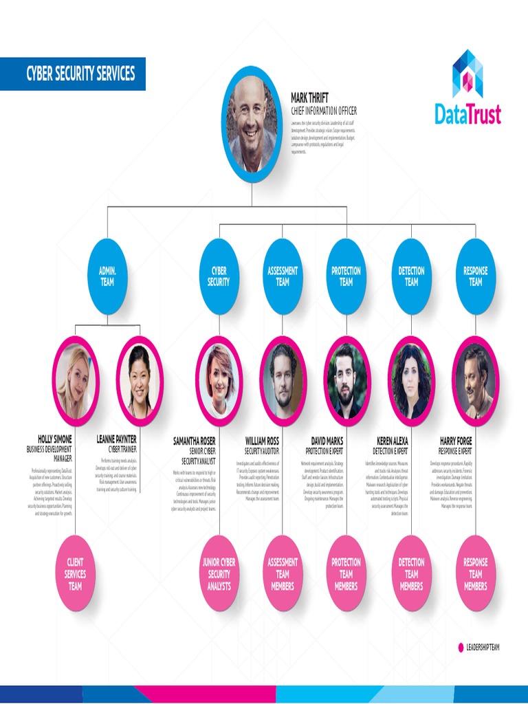 Strategic Leadership and Organizational Structure of DataTrust's Cyber ...