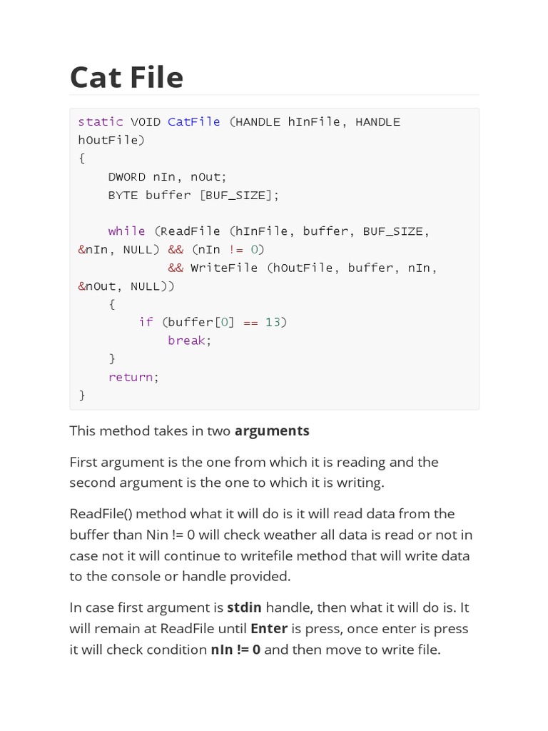CatFile Function Decoded | PDF