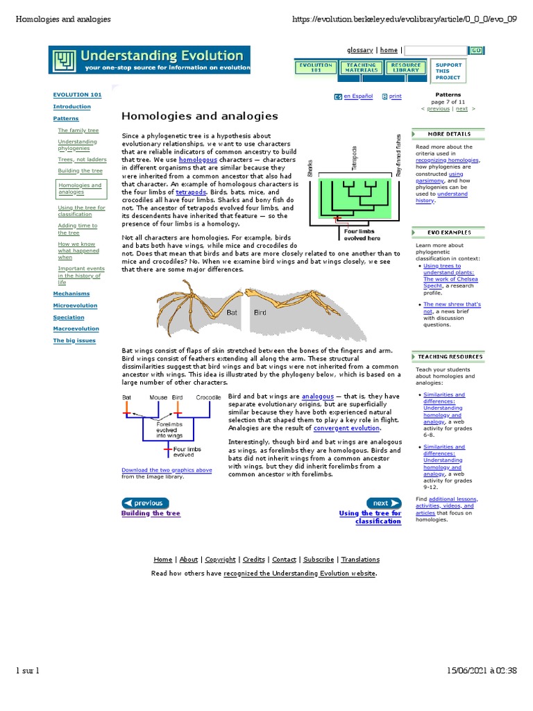Homologies and Analogies | PDF | Homology (Biology) | Phylogenetic Tree