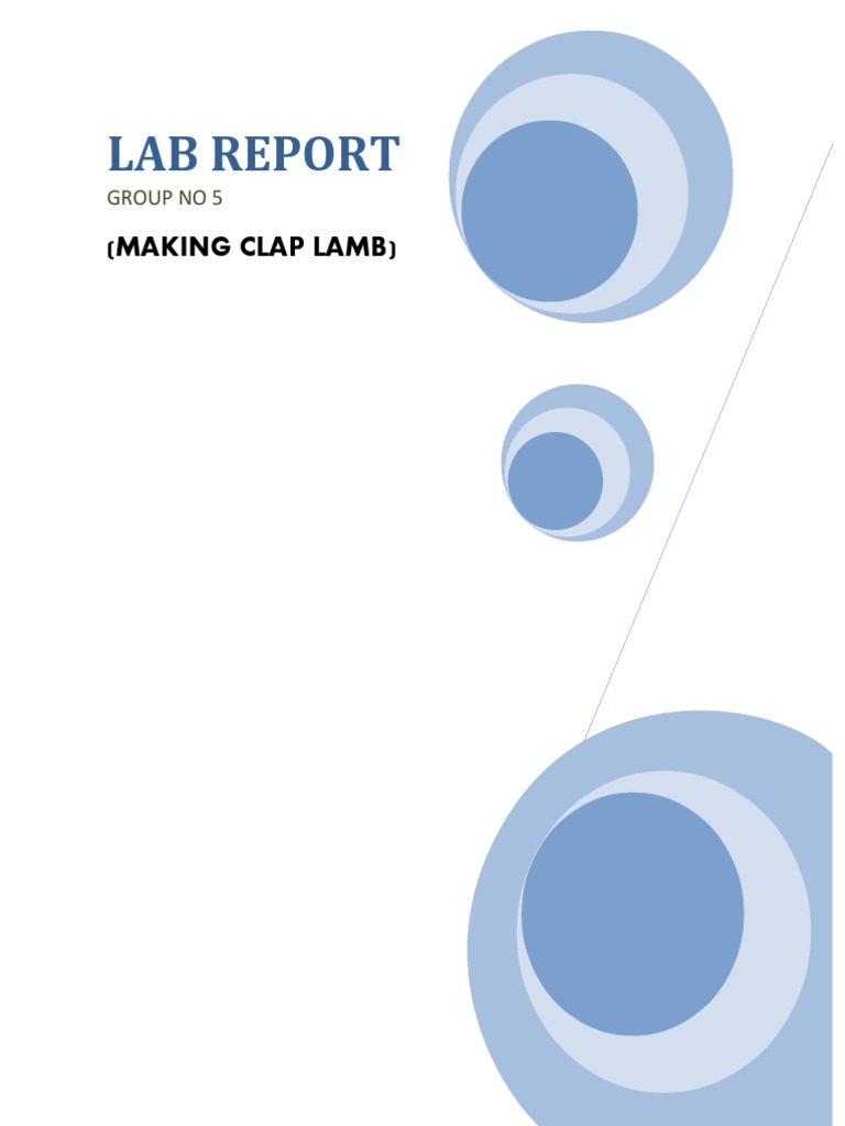 Lab Report: (Making Clap Lamb) | PDF