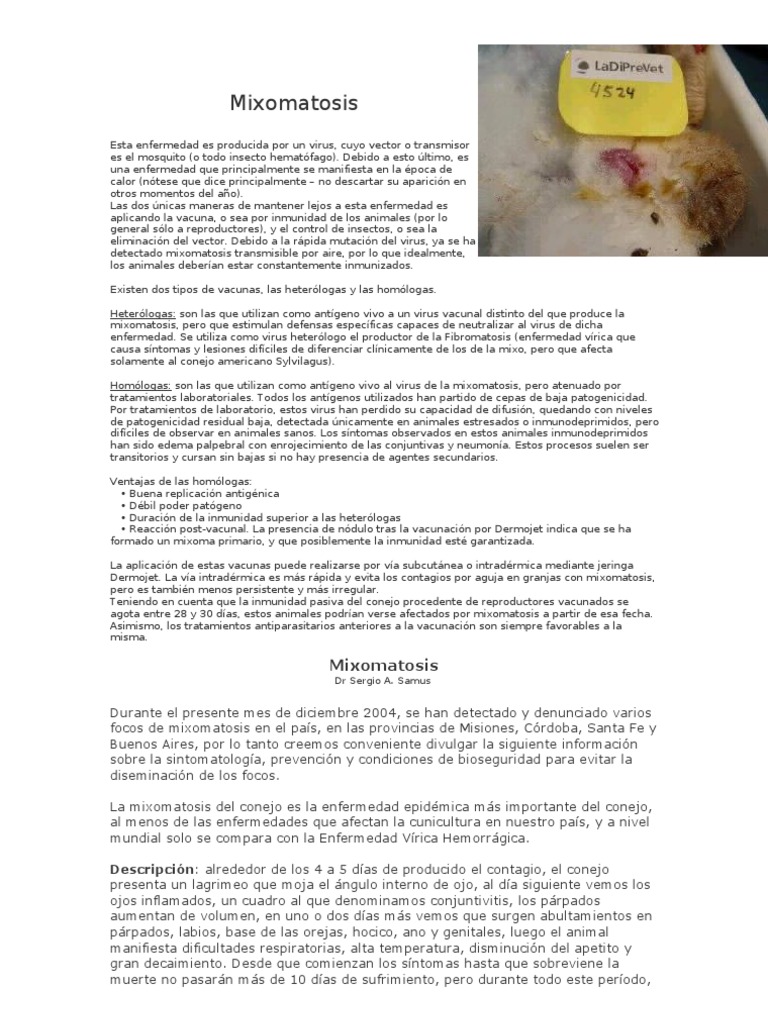 Mixomatosis | Virus | Vacunas