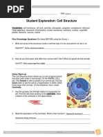 Student Exploration: Cell Structure | PDF | Cell (Biology) | Eukaryotes