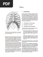 Ángulo de Louis | PDF | Tórax | Anatomía humana