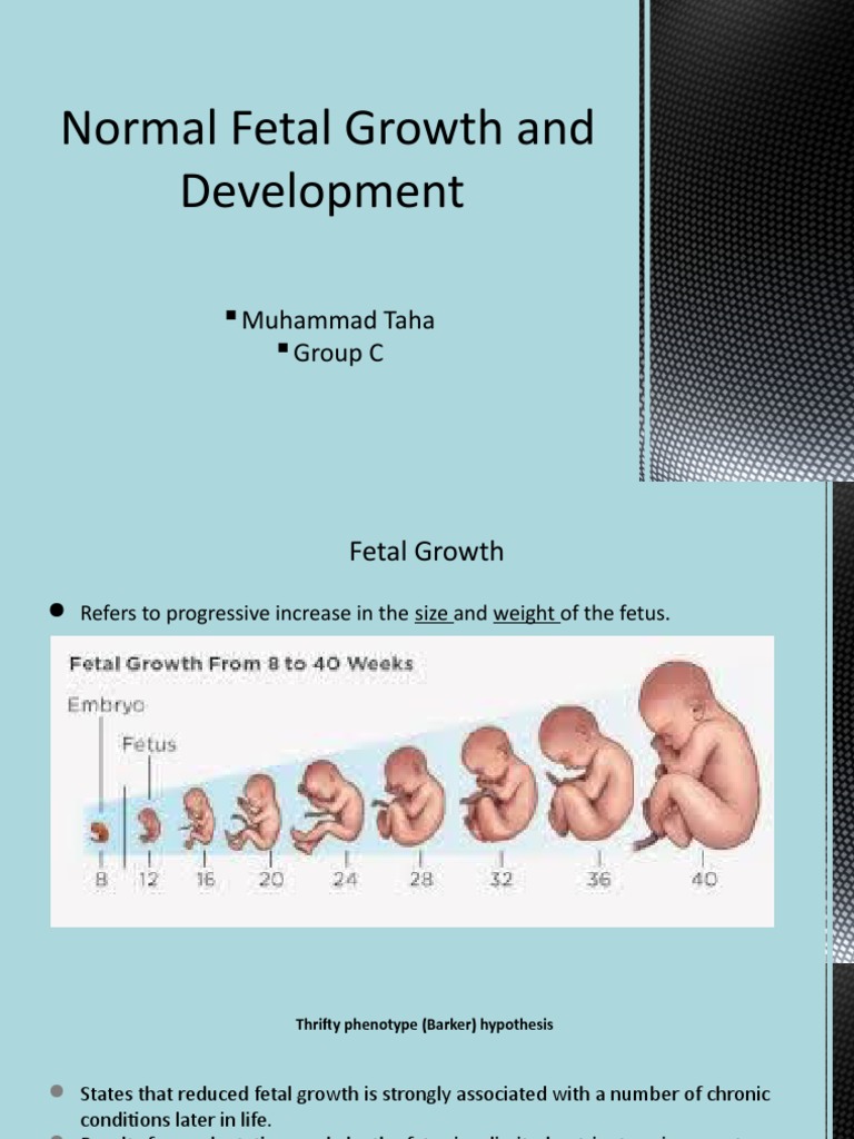 Normal Fetal Growth and Development Insights | PDF | Circulatory System ...