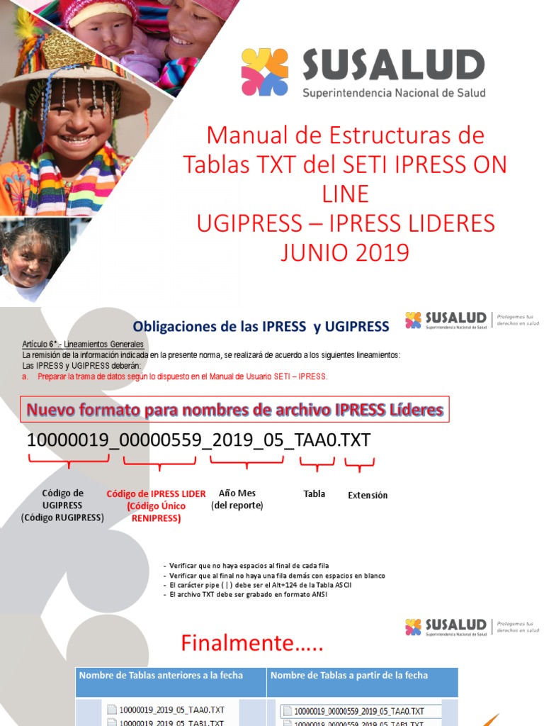 Ugipress Manual de Estructura Tablas TXT Seti Ipress On Line | PDF