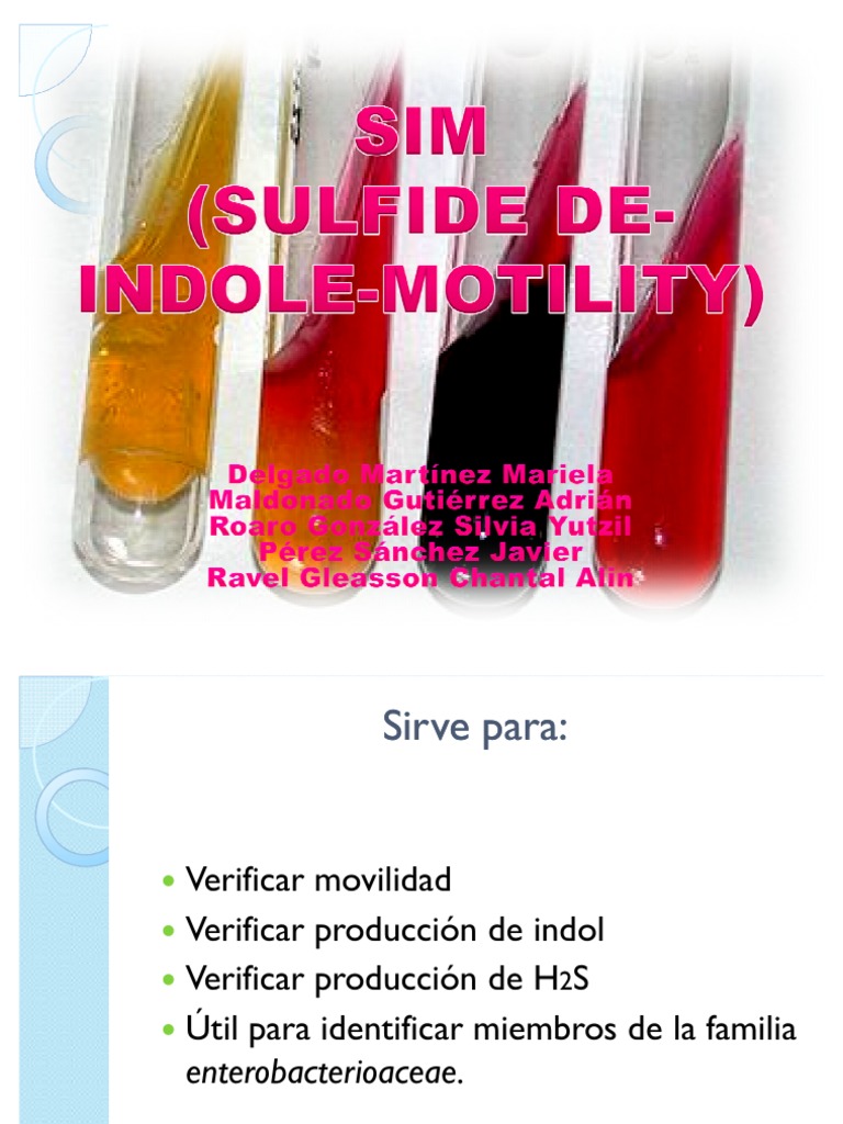 Medio Sim | PDF | Elementos químicos | Sustancias químicas