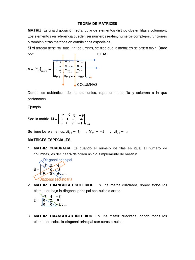 Teoría de Matrices | PDF | Matriz (Matemáticas) | Funciones y mapeos