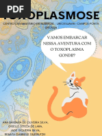 JUNEVE: Tratamento para TDAH e TCA | PDF | Transtorno de déficit de ...