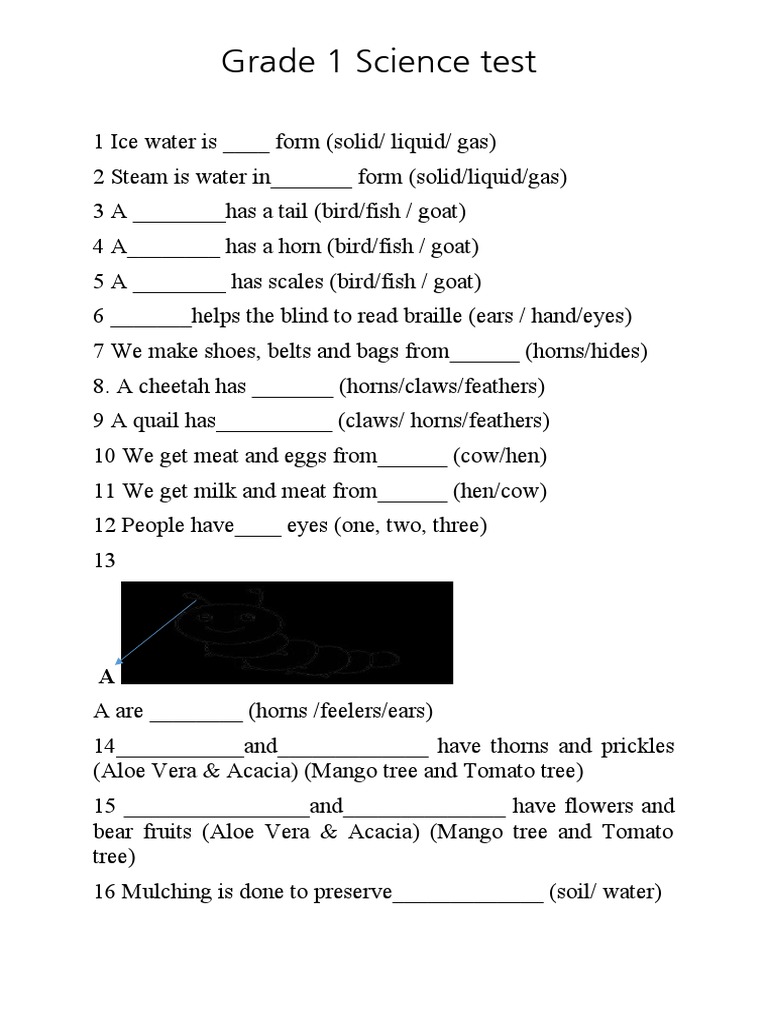 Grade 2 Science Test Two | PDF