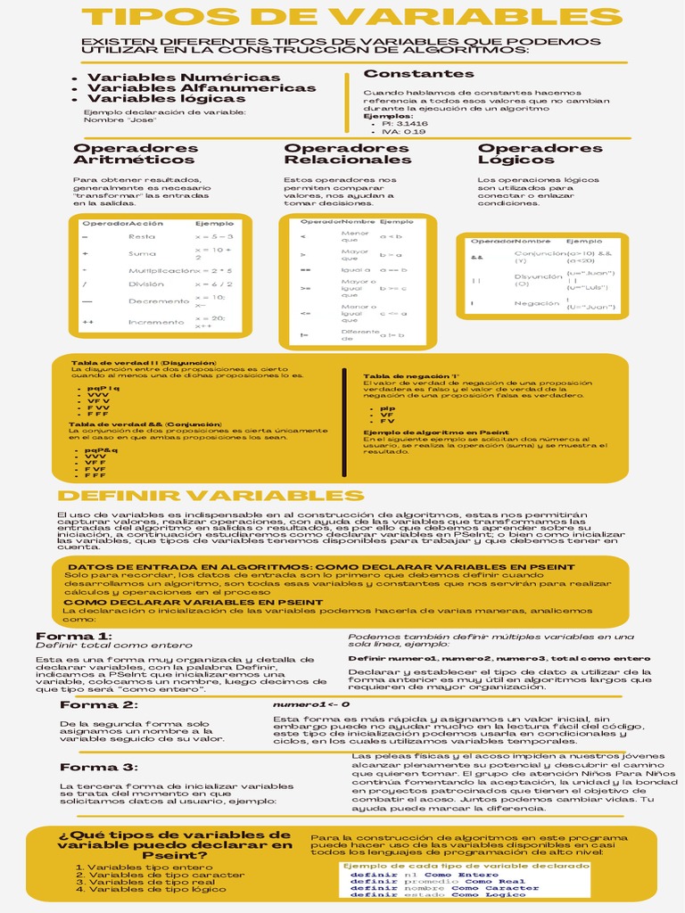 Infografia Variables | PDF