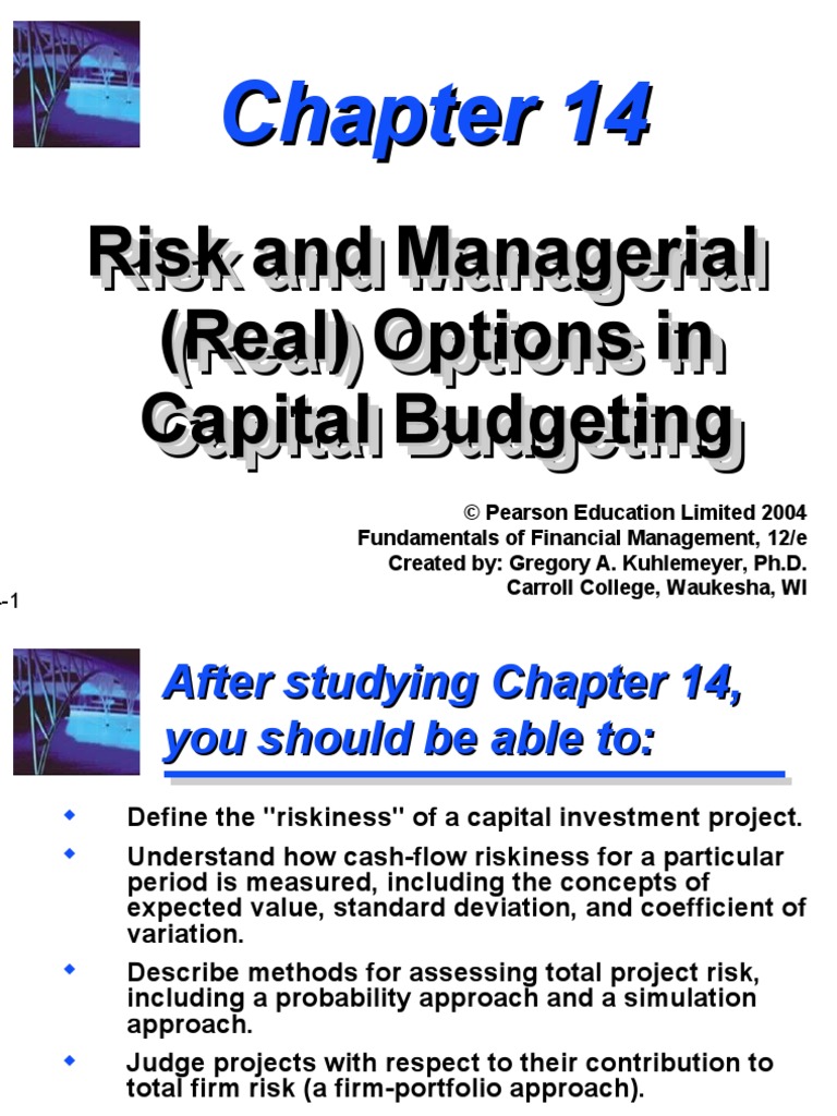 Risk and Managerial (Real) Options in Capital Budgeting Risk and ...