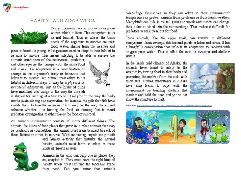 Habitat and Adaptation | PDF | Habitat | Adaptation