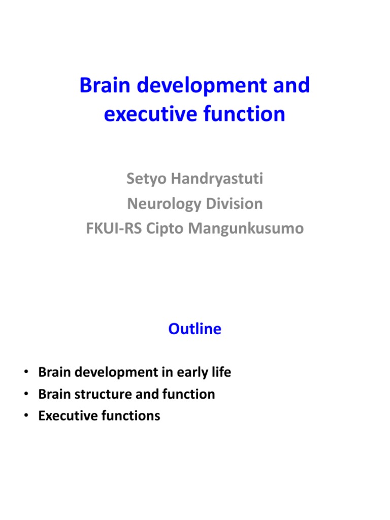 Brain Development and Executive Function | PDF | Executive Functions ...