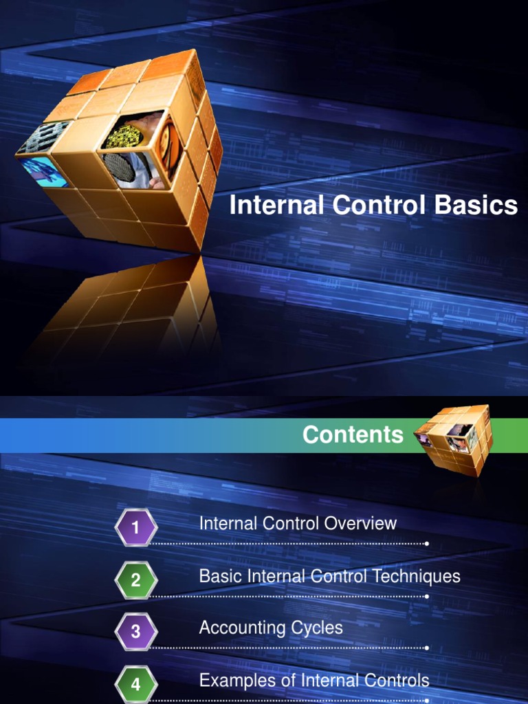Internal Control Basics | PDF | Internal Control | Business