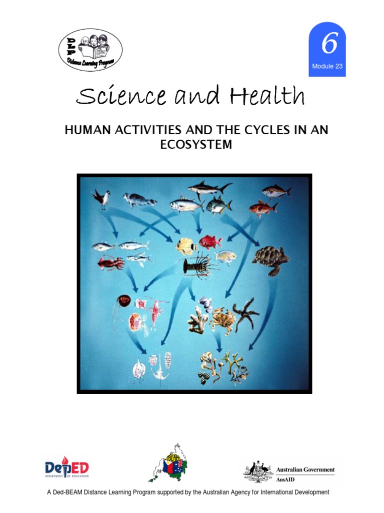 Human Impact on Ecosystem Cycles | PDF | Human Impact On The ...