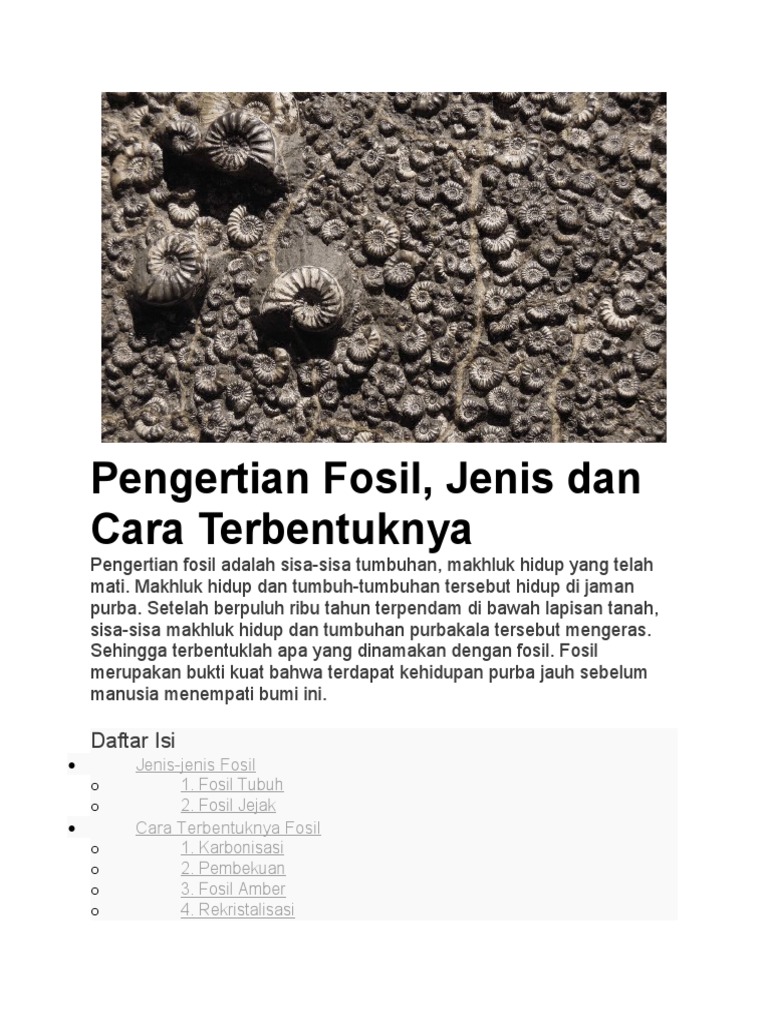 Mengenal Fosil dan Pembentukannya | PDF | Filsafat | Agama & Spiritualitas