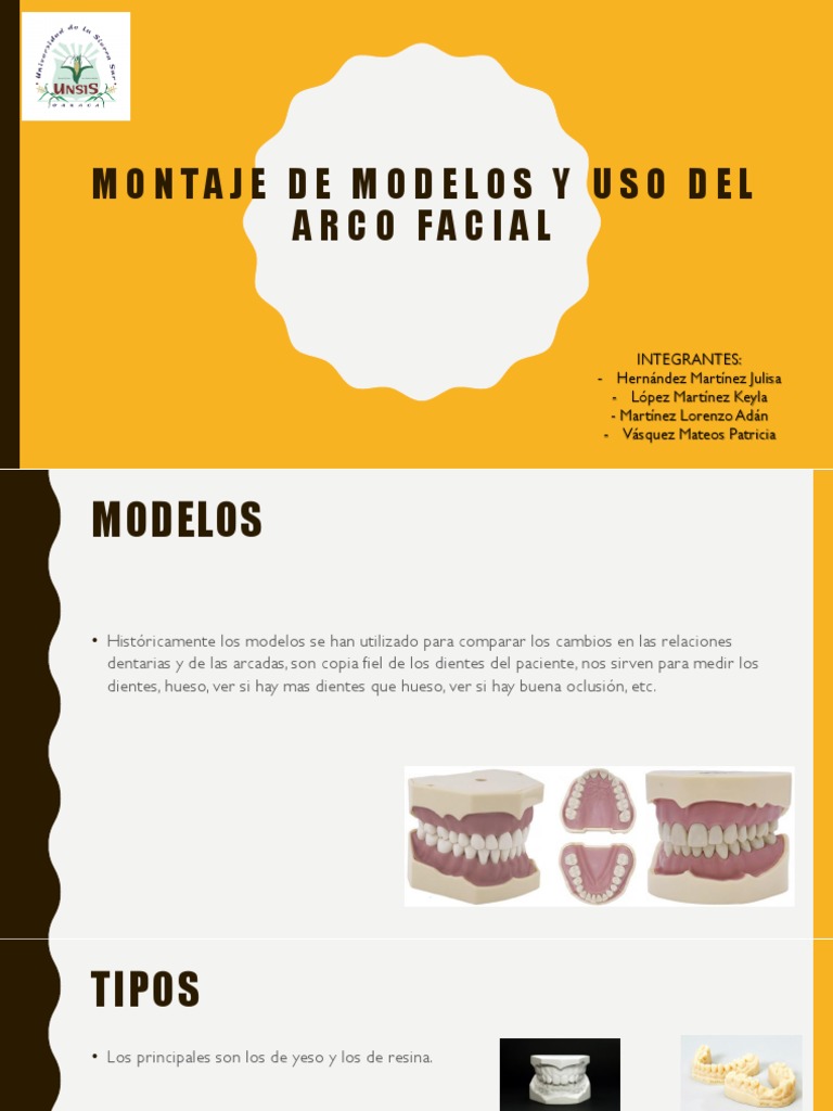 Montaje y Uso del Arco Facial | PDF | Diente | Tornillo