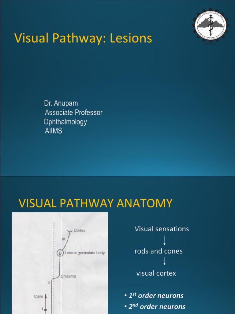 734 Visual Pathway Lesions | PDF