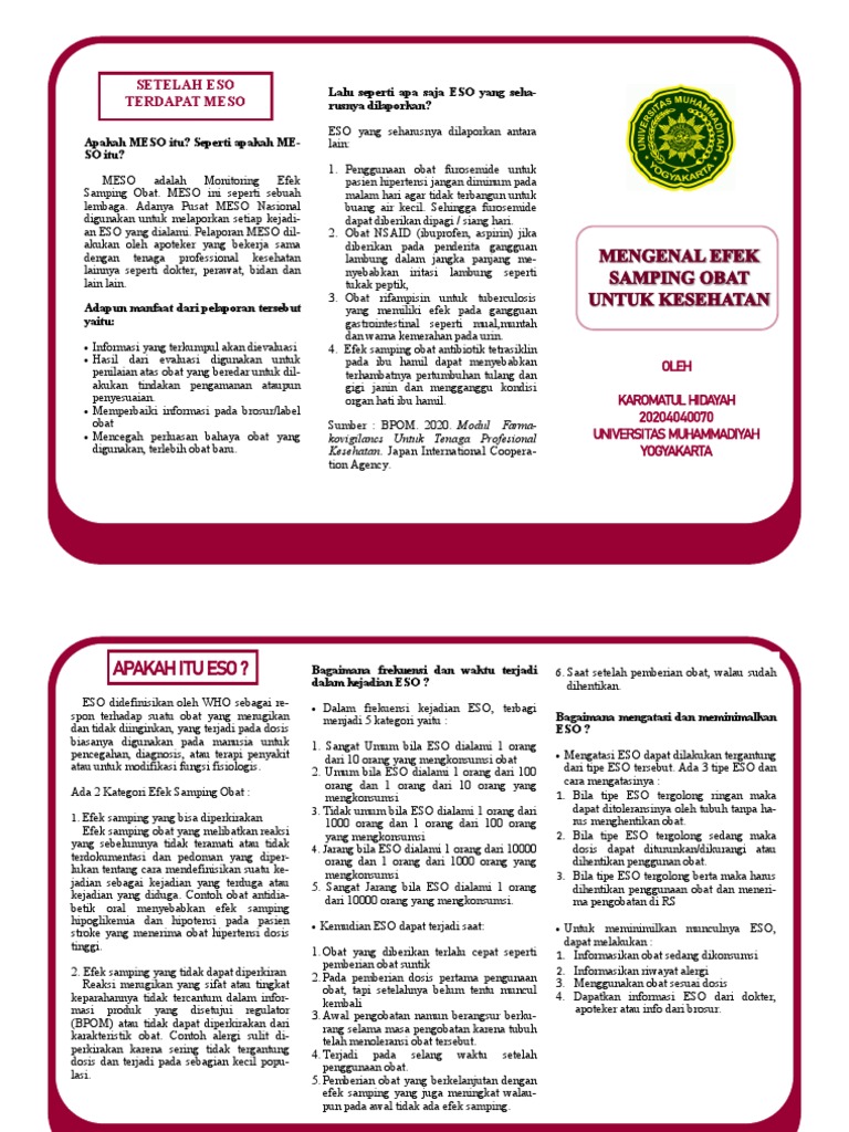 Leaflet Pio Karomatul Hidayah 20204040070 | PDF