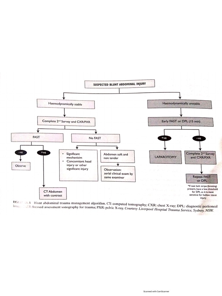 Blunt Abdominal Trauma Management Algorithm | PDF
