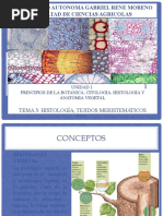 Retortamonas Intestinalis | PDF | Especialidades Medicas | Microbiología