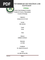 Caratula Upds | PDF
