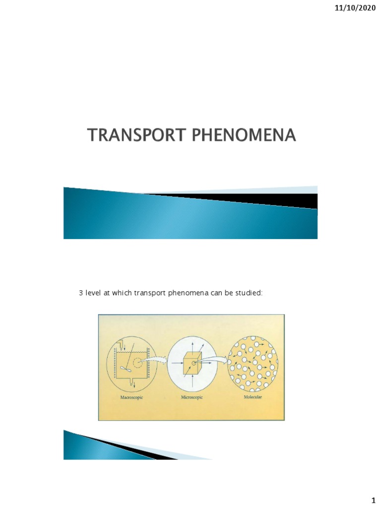 CHAPTER 1 Intro To Transport (Equation) | PDF