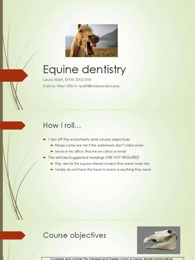 Equine Dentistry for Students | PDF | Tooth | Dental Anatomy
