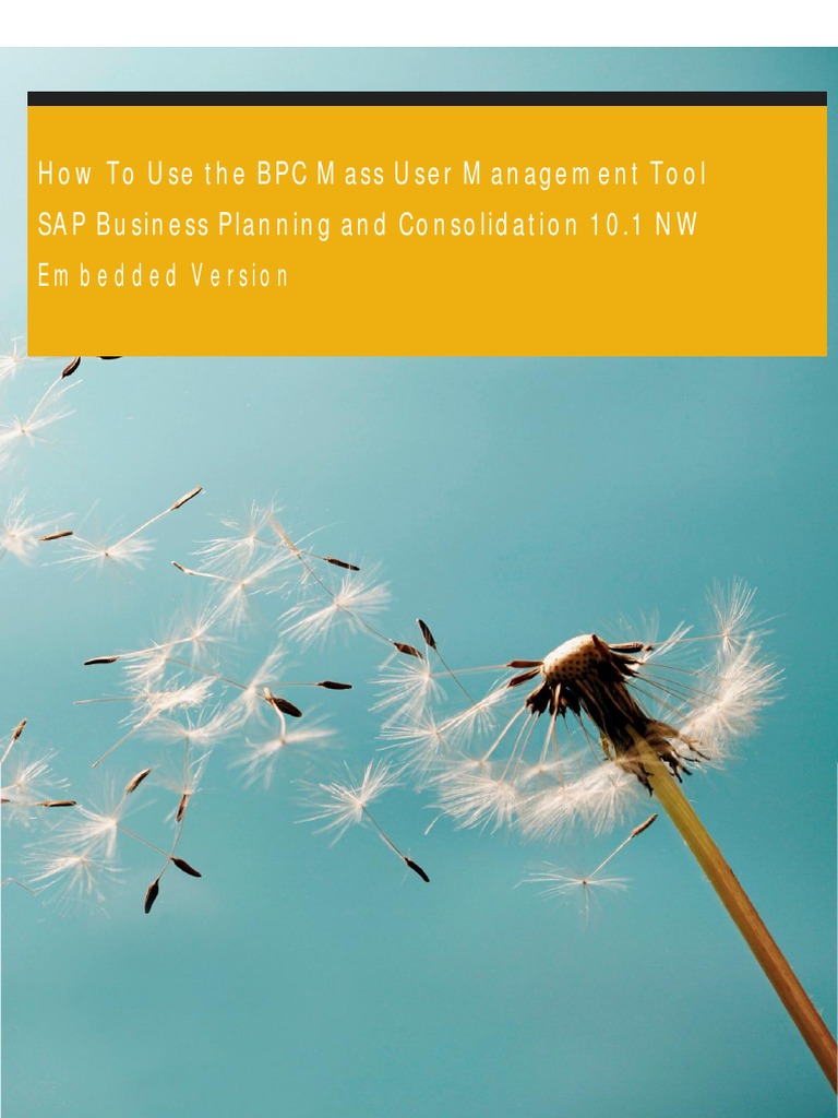 BPC Mass User Maintenance | PDF | Button (Computing) | Comma Separated ...