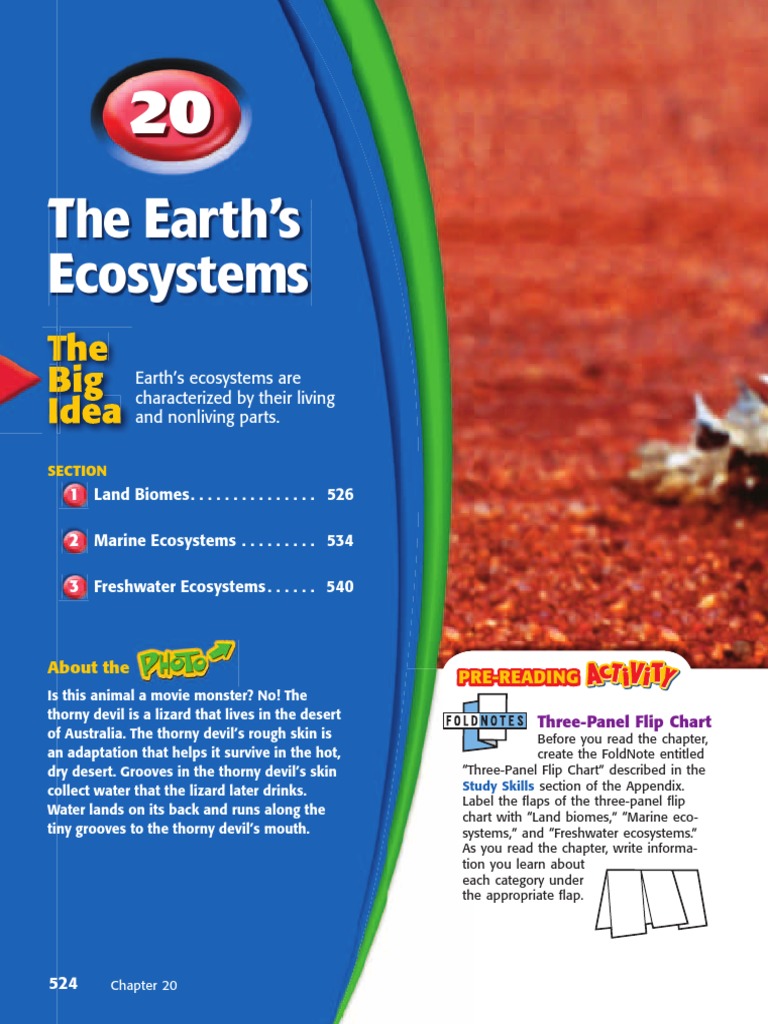 Chapter 20 The Earths Ecosystems | PDF | Grassland | Coral Reef
