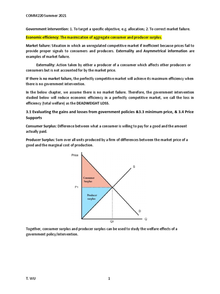 CHAPTER - 3 - PRODUCERS - CONSUMERS AND COMPETITIVE MARKETS2021 Summer ...