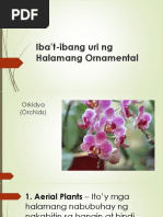 EPP 4 - Ornamental Plants | PDF