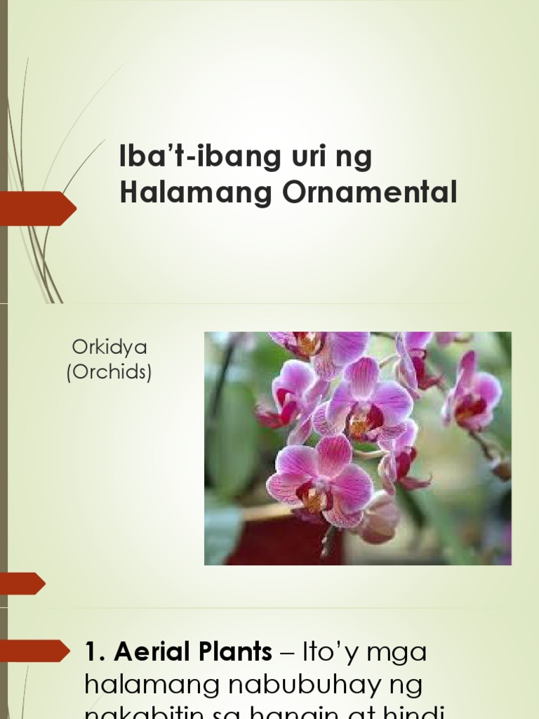 Uri NG Halamang Ornamental | PDF