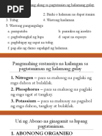 Mga Uri NG Halamang Gulay | PDF