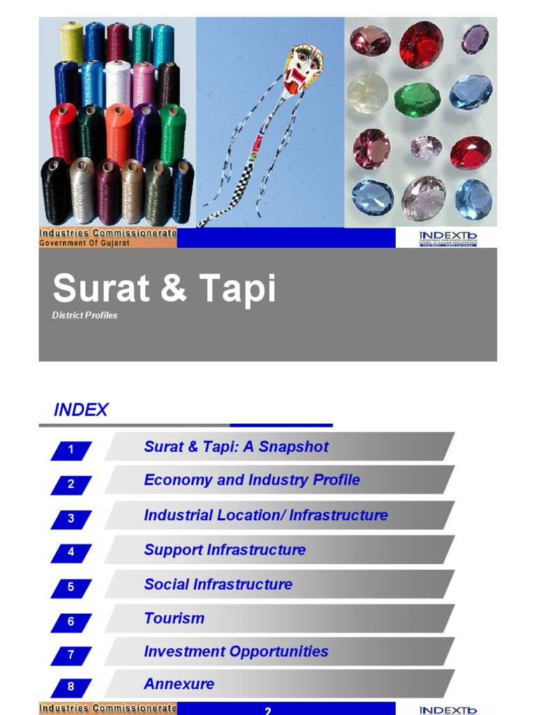Surat Tapi District Profile | PDF