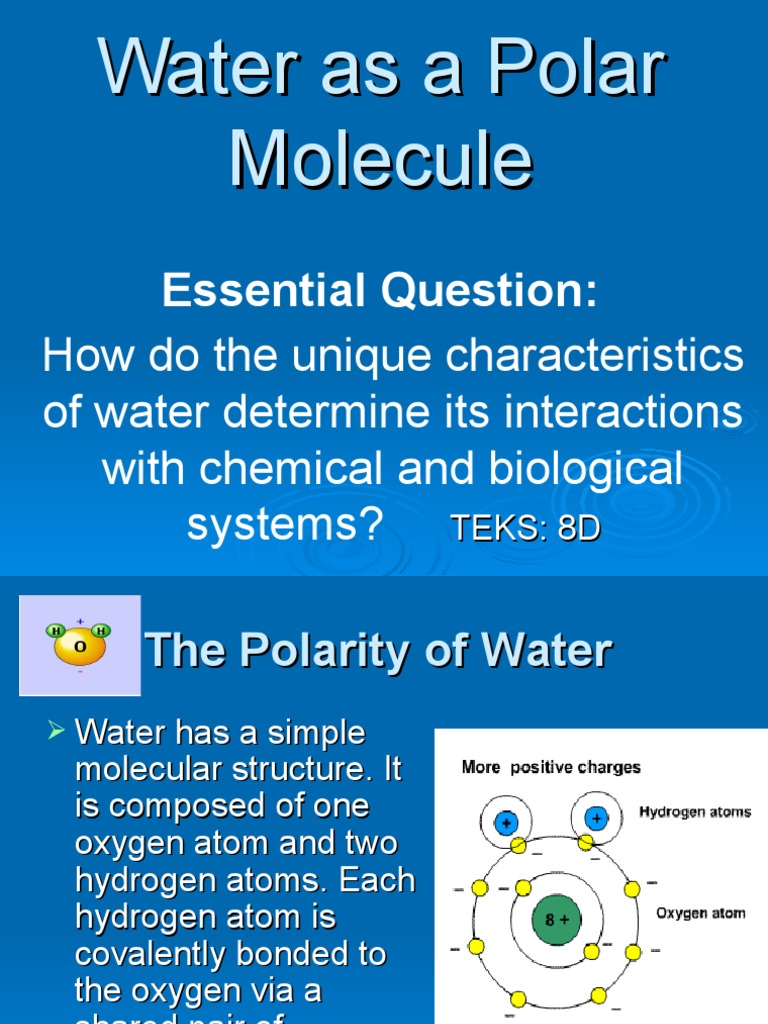 Water As A Polar Molecule | PDF | Chemical Polarity | Hydrogen Bond