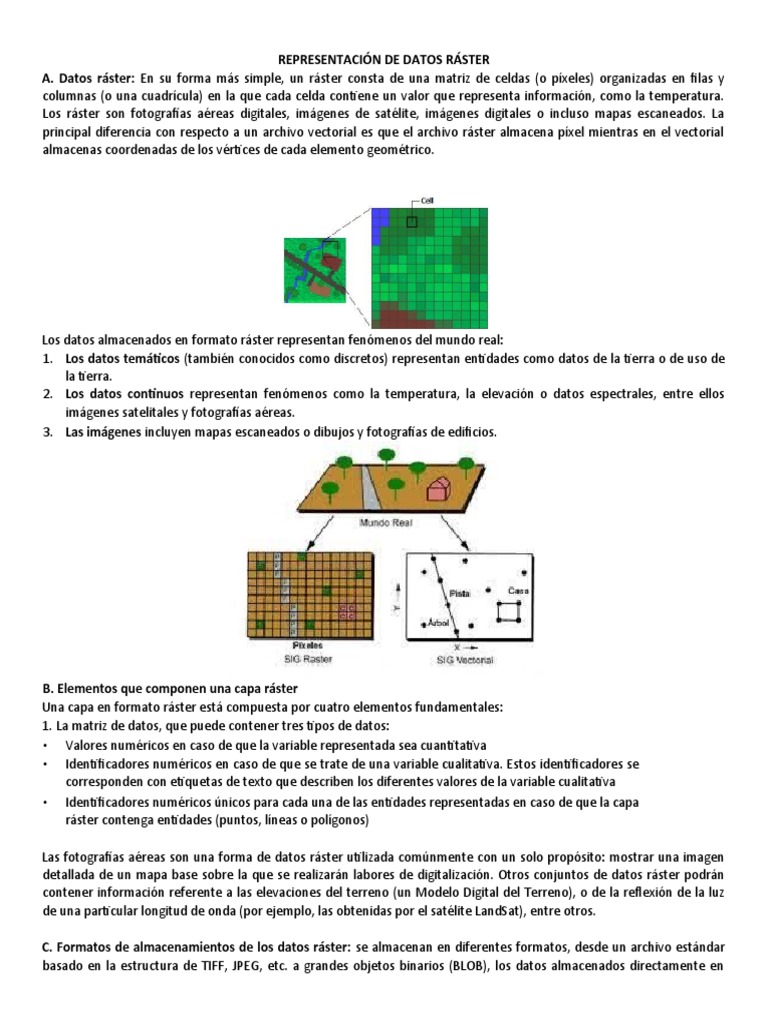 Representación de Datos Ráster | PDF | Sistema de información ...