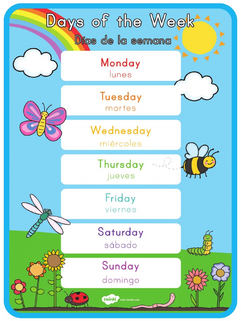 Sa T C 1206 Days of The Week Display Poster Spanish Latin Us English | PDF