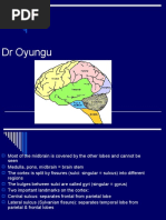 Brain Parts & Mnemonics Guide | PDF | Cerebral Hemisphere | Cerebral Cortex