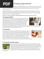 Evolution Station Cards BIOLOGY COMPLETE WORSHEET ASSIGNMENT ANSWERS ...