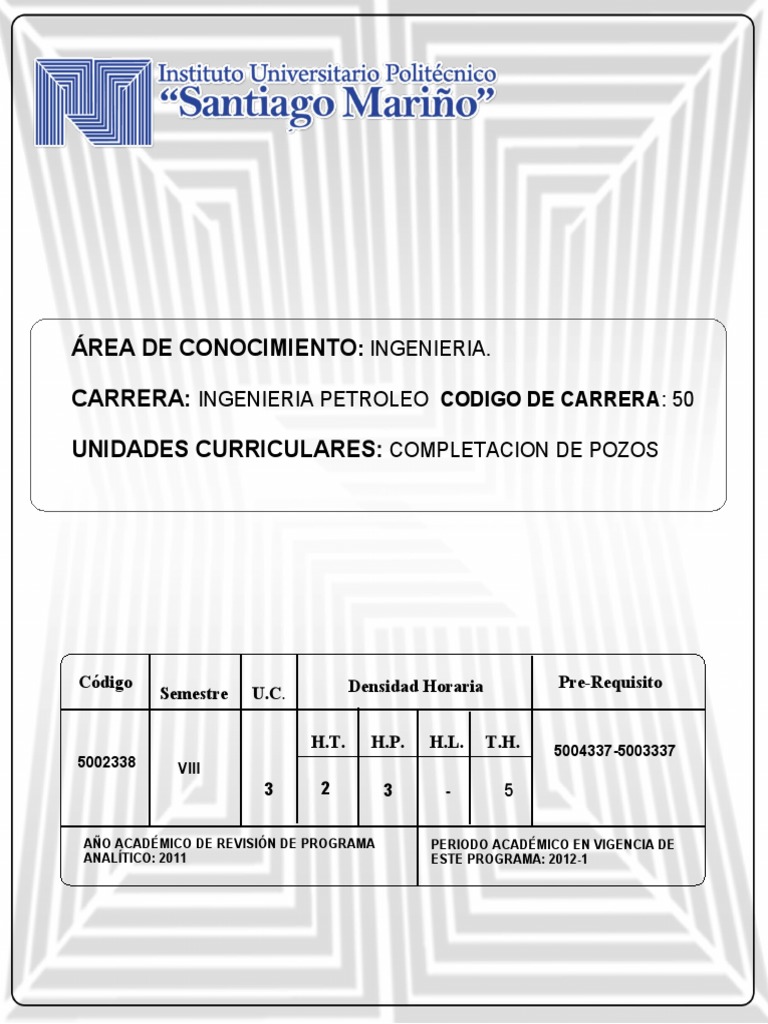 Completacion de Pozos | PDF | Evaluación | Diseño